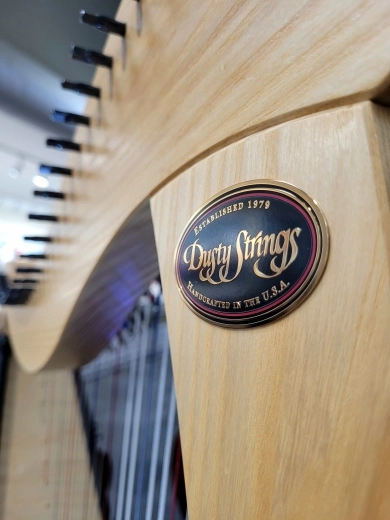 Gear Hunter | Dusty Strings - RAVENNA 34 CAM